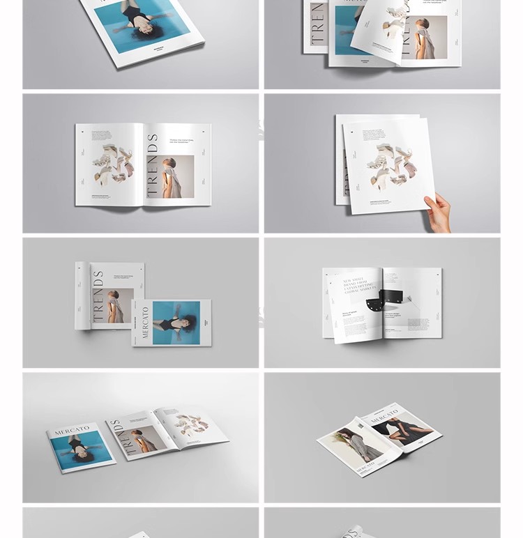 A4a5书籍封面宣传册画册杂志VI效果图展示PSD贴图样机设计素材PS-大怪兽分享